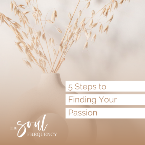 5 Steps To Finding Your Passion - Information - Shanna Lee